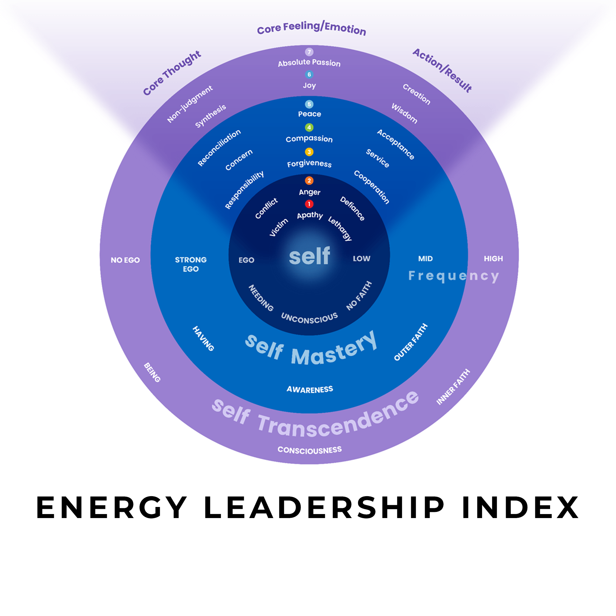 Energy Leadership Index (ELI) Assessment Coaching